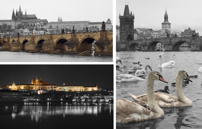 PRAGUEBOOK: Měníme zacházení s turisty | Startovač